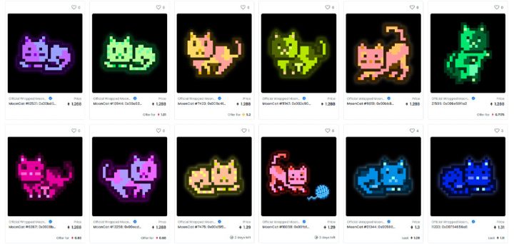 What is MoonCat Rescue? | Avark